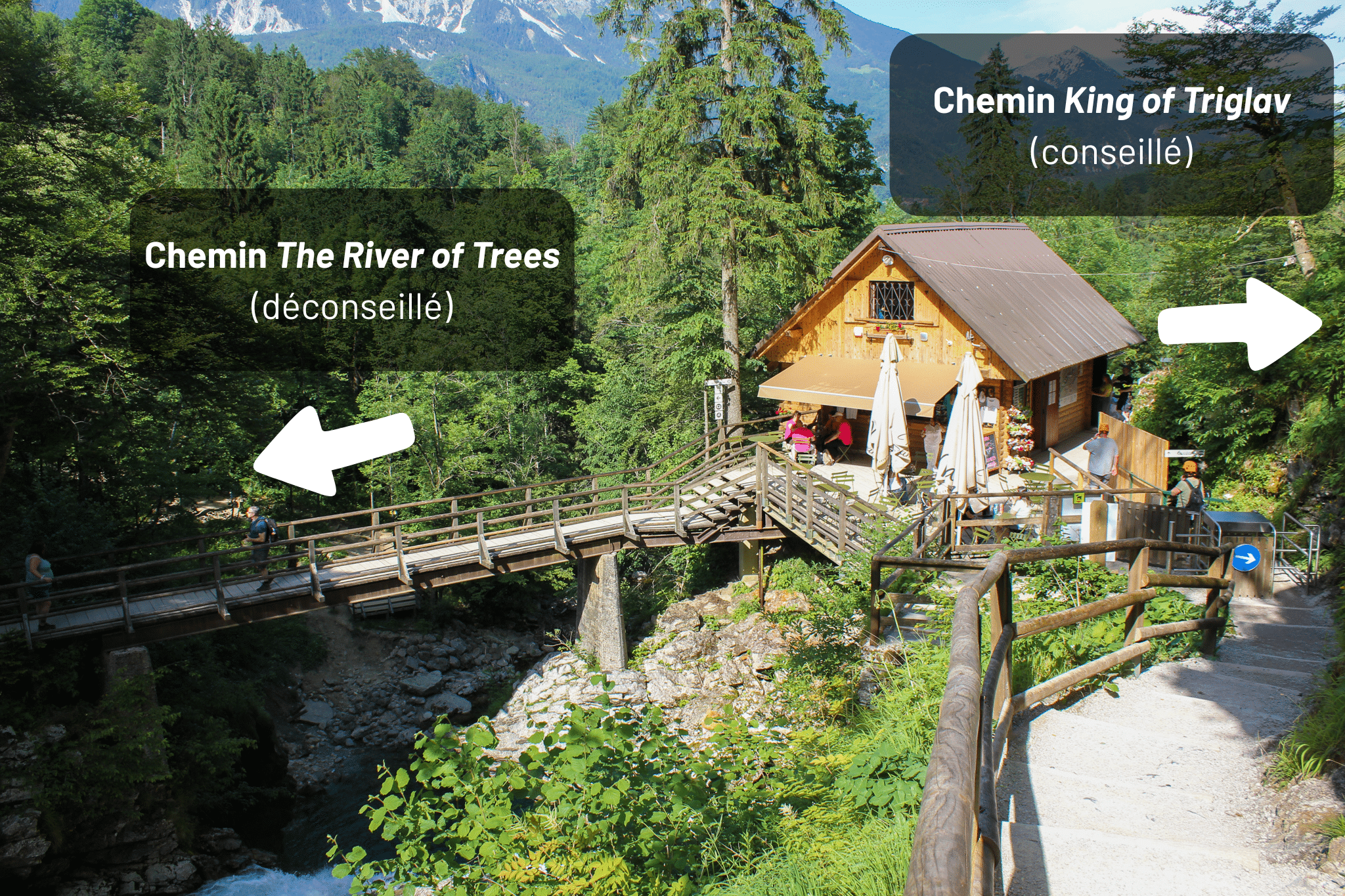 Visiter les gorges de Vintgar : conseils d'une locale - Les Voyages d ...